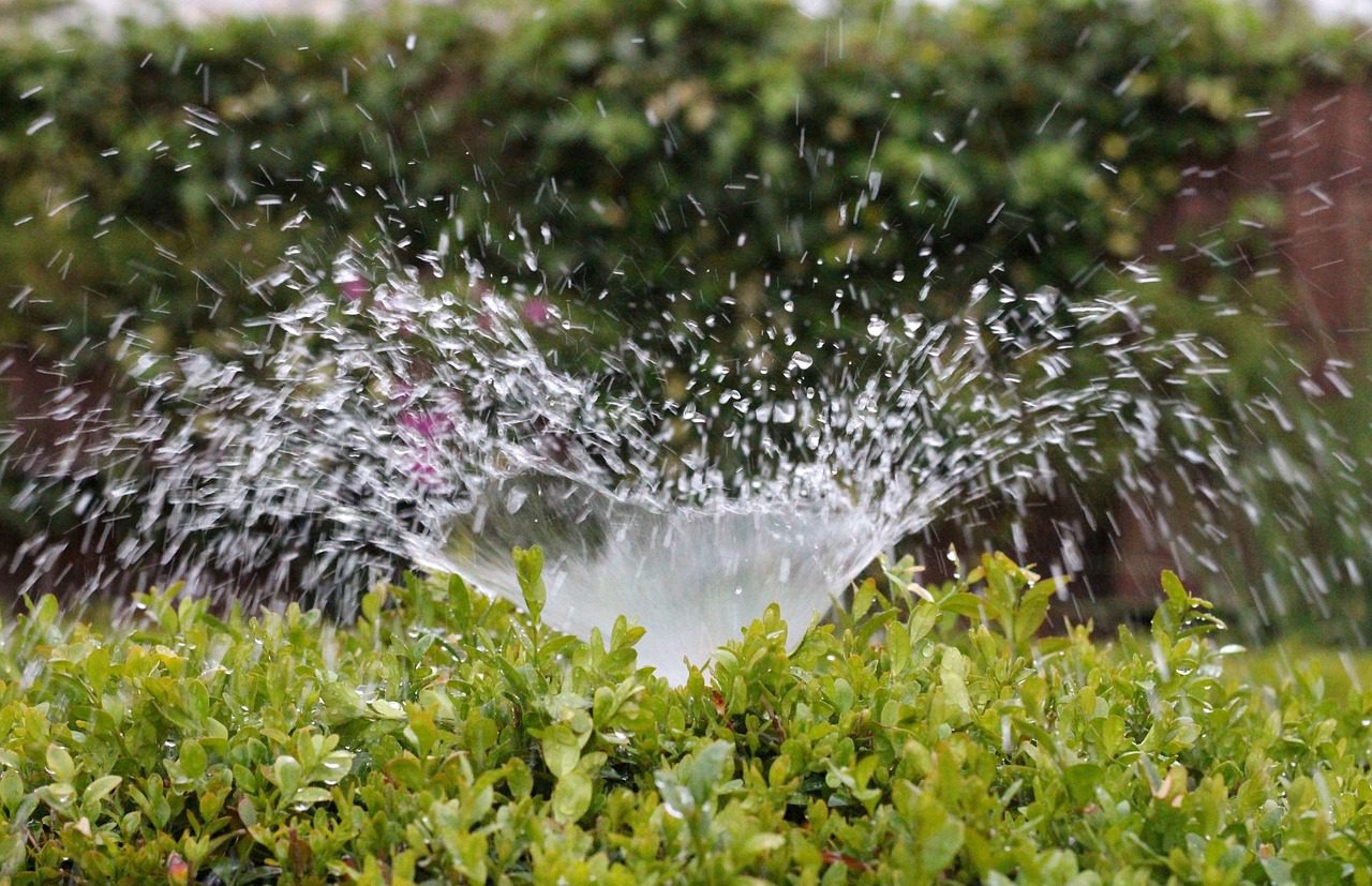 Top 5 Water-Saving Tips for Your Sprinkler System | Watermaster Irrigation